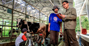 Tentang Danone Indonesia - Danone Indonesia